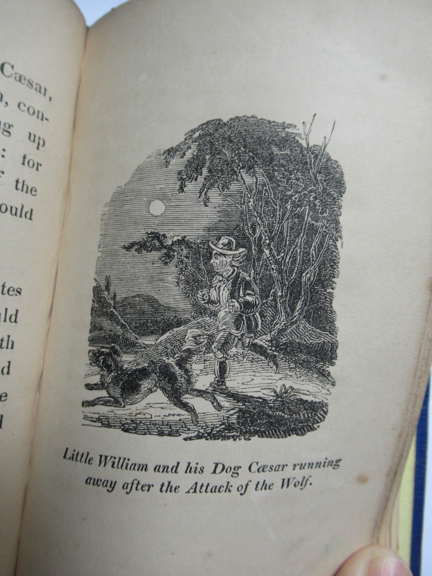 THE LITTLE WOODMAN AND HIS DOG CAESAR INCOMPLETE | Sherwood Mrs, Mary ...