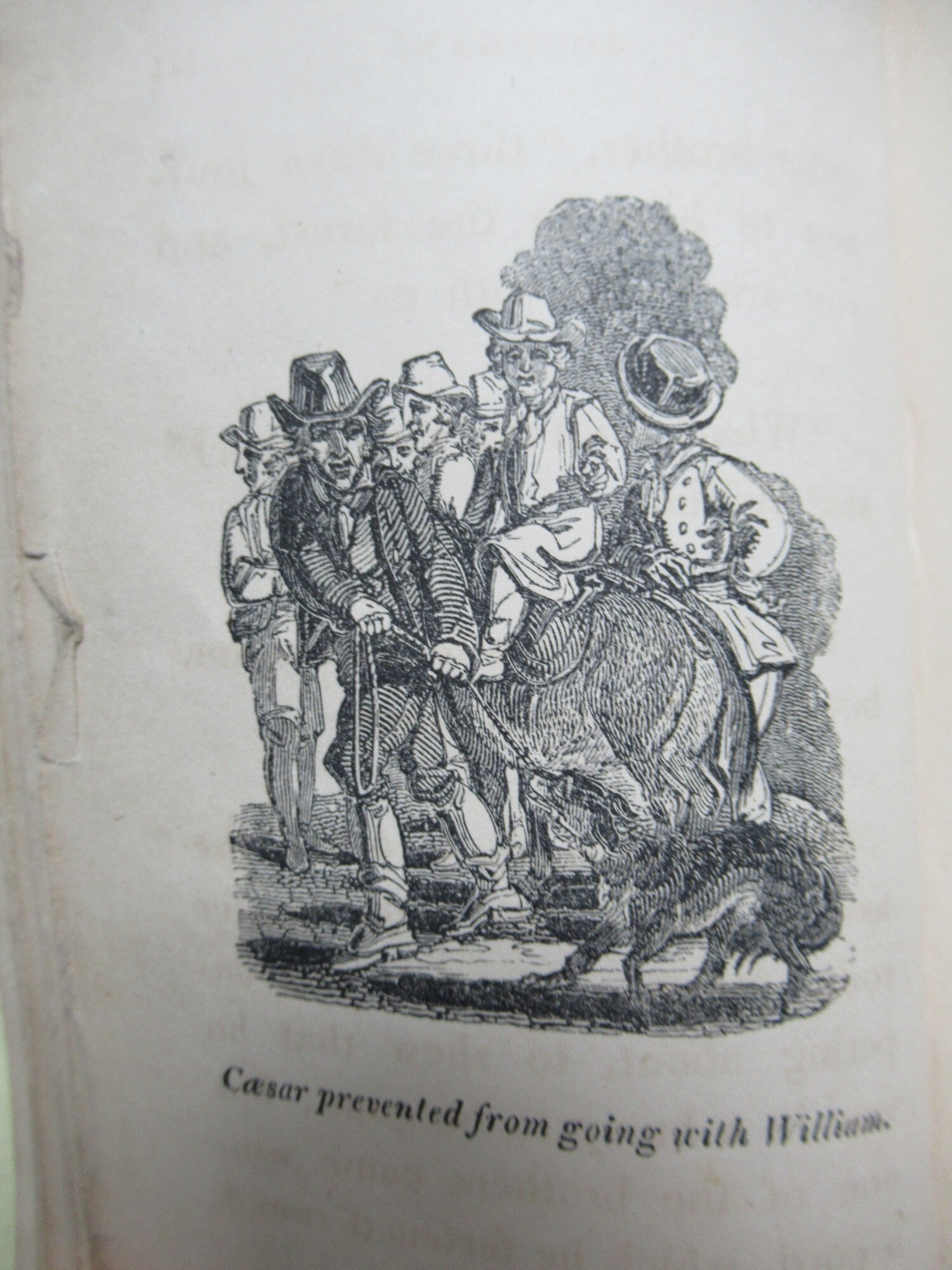 THE LITTLE WOODMAN AND HIS DOG CAESAR INCOMPLETE | Sherwood Mrs, Mary ...